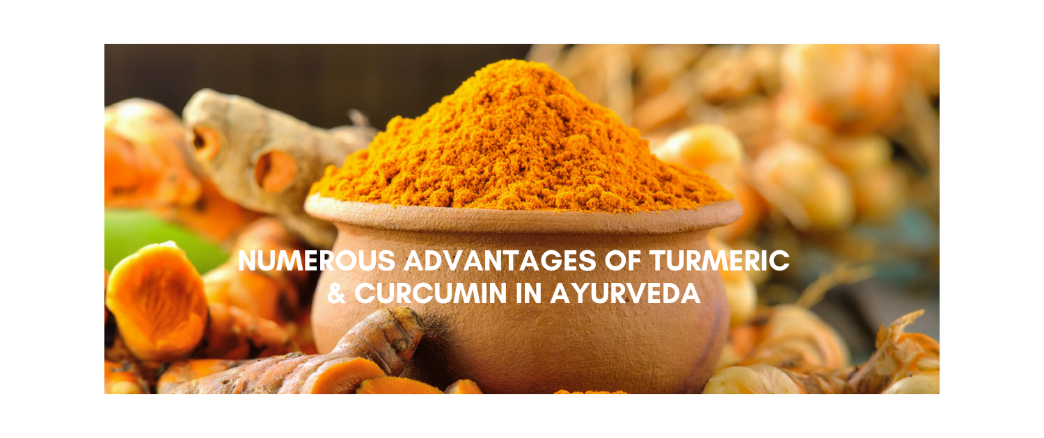 Advantages of Turmeric & Curcumin in Ayurveda | Ayurveda clinic in UAE